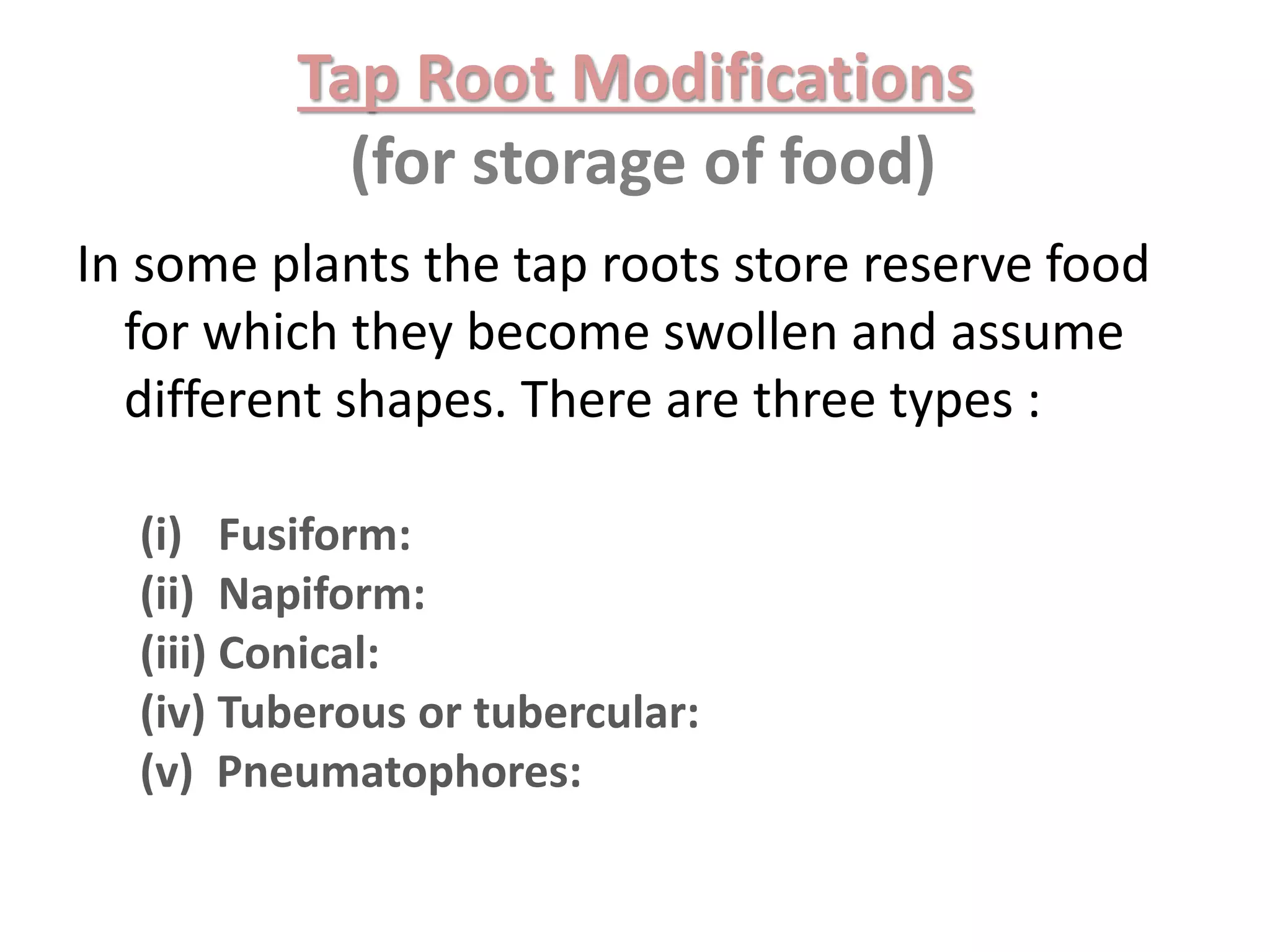 Modifications of roots | PPTX