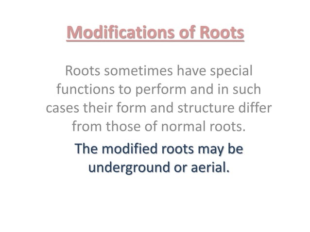 Modifications of roots | PPTX