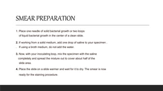 Staining techniques | PPTX | Chemistry | Science