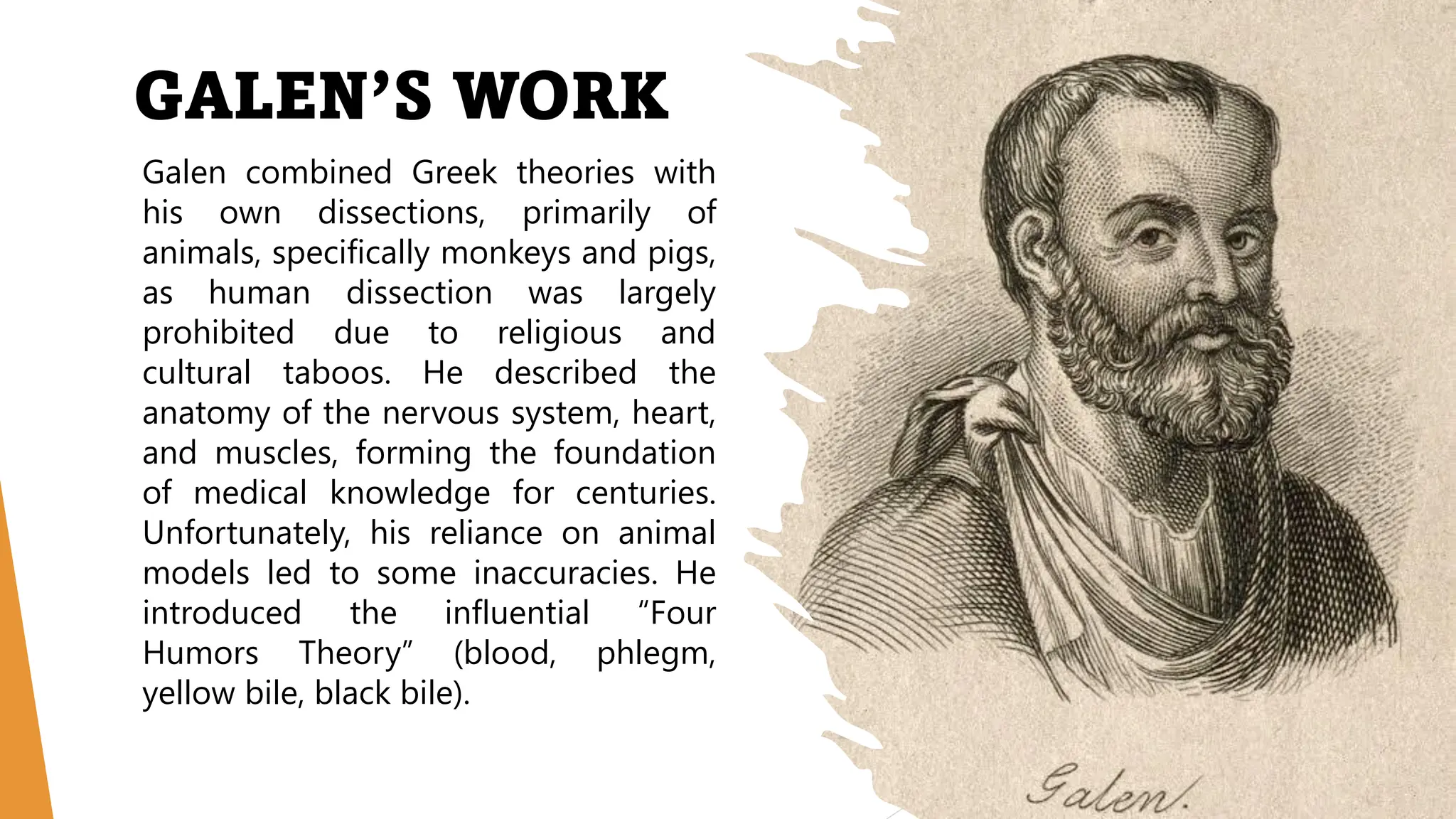 Anatomical Suffixes Rhaphy & Scope | PDF