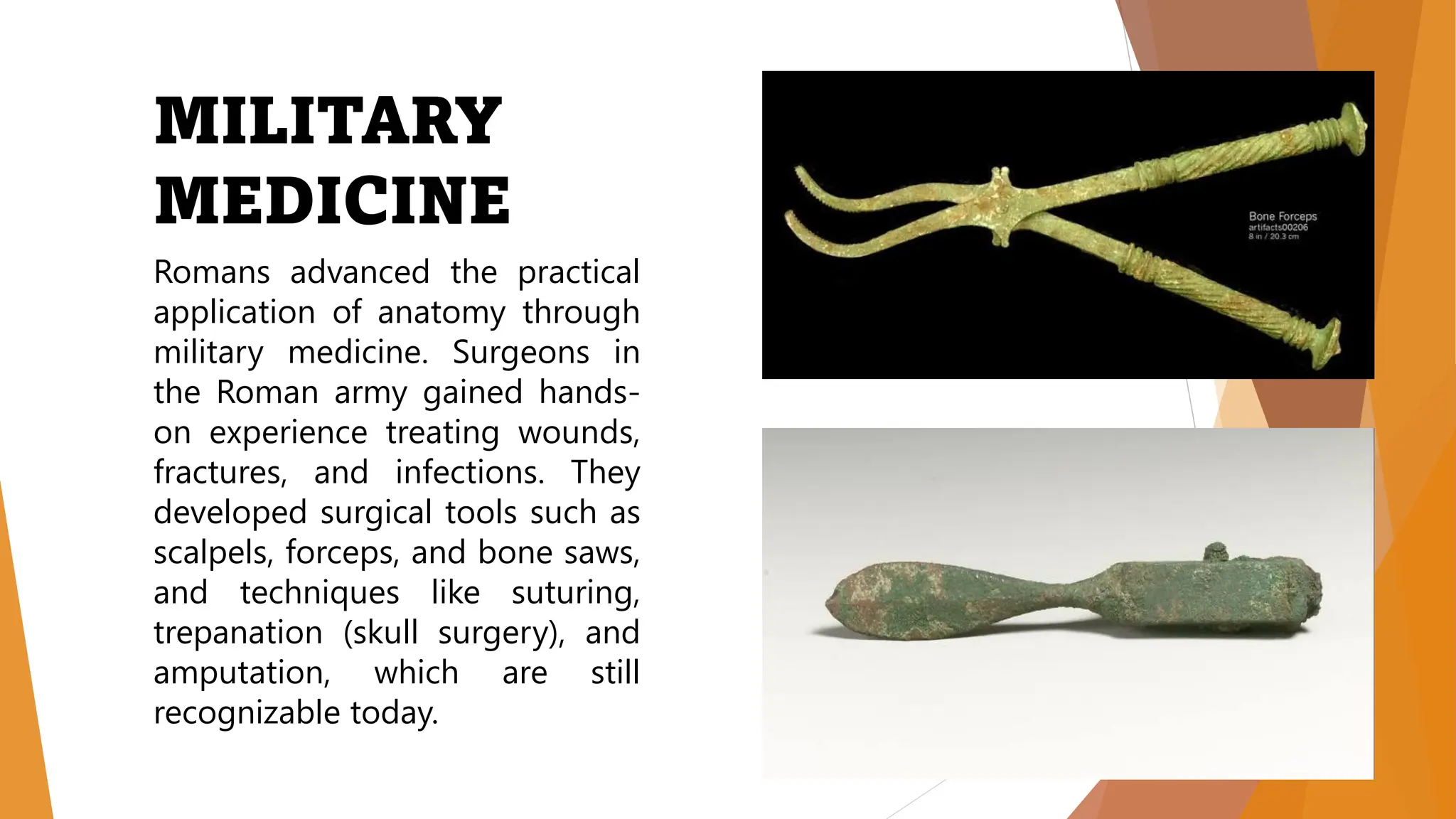 Anatomical Suffixes Rhaphy & Scope | PDF