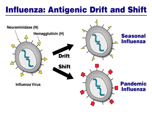 Survival Through Mutations - LabCE.com, Laboratory Continuing Education