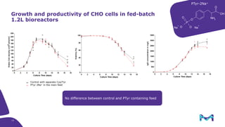 Simplification of Fed-Batch Processes Using Modified Amino Acids | PDF