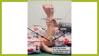 Modified ashworth scale application | PDF