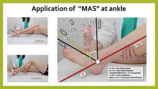 Modified ashworth scale application | PPT