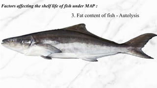 Modified atmosphere packaging of fish | PPTX