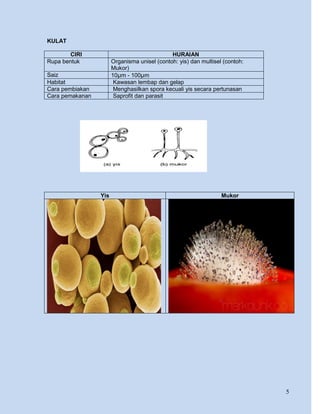(Modified) bab 9 mikroorganisma dan kesannya ke atas hidupan | PDF