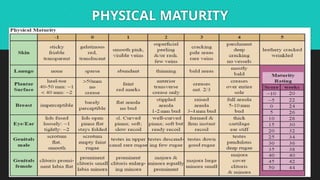 Modified Ballard score and newborn maturity | PPT