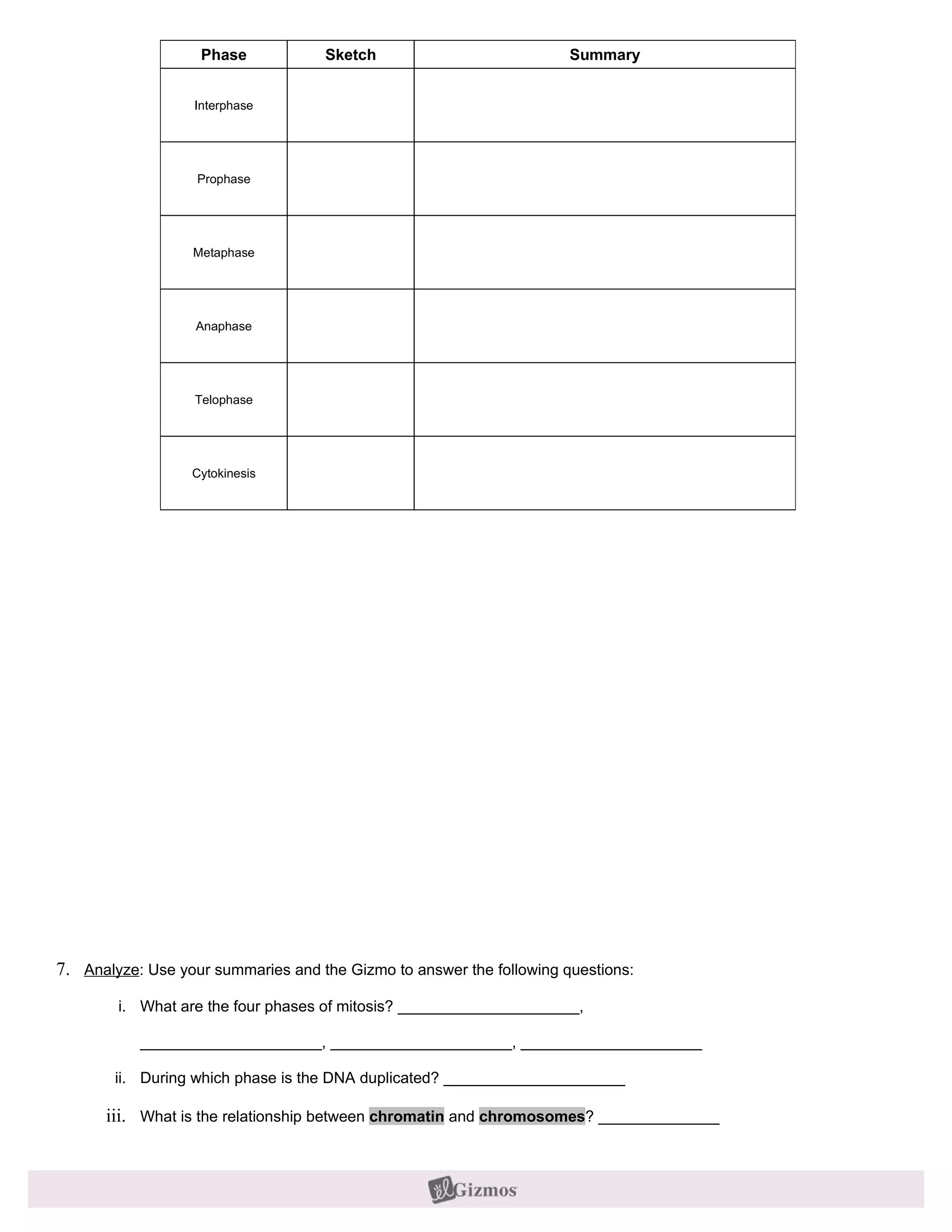 Modified cell division gizmo | DOC