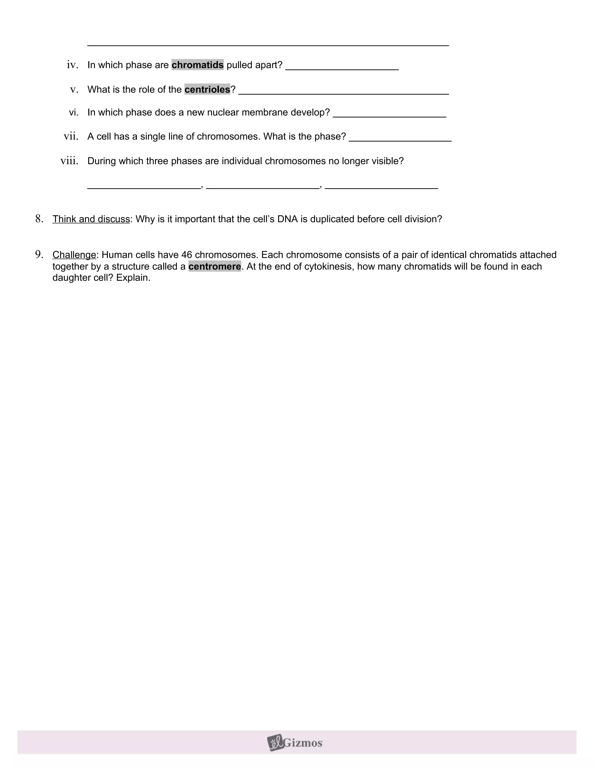 Modified cell division gizmo | DOC
