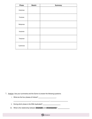 Modified cell division gizmo | DOC | Biological Sciences | Science