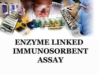 Modified elisa | PPT