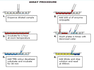 Modified elisa | PPT