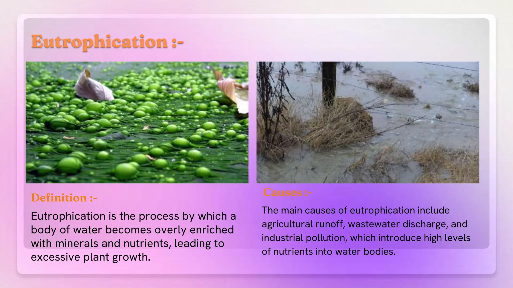 Eutrophication.pptx
