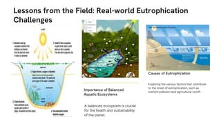 Eutrophication.pptx