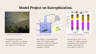 Eutrophication.pptx