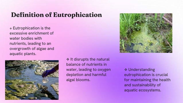 Eutrophication.pptx