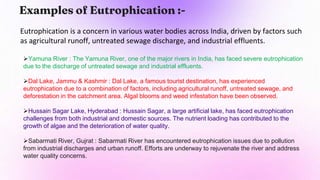 Eutrophication.pptx