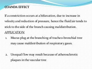 Modified gas laws | PPT