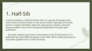 MODIFIED HALF-SIB F0000000000000AMILY SECTION- Đình Dũng.pptx