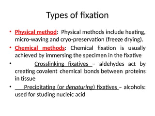 modified IF immunofluorescence practical.pptx
