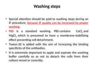 modified IF immunofluorescence practical.pptx