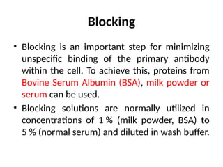 modified IF immunofluorescence practical.pptx