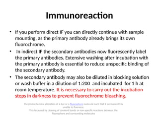 modified IF immunofluorescence practical.pptx