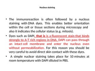 modified IF immunofluorescence practical.pptx