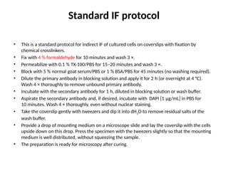 modified IF immunofluorescence practical.pptx