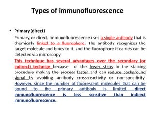 modified IF immunofluorescence practical.pptx
