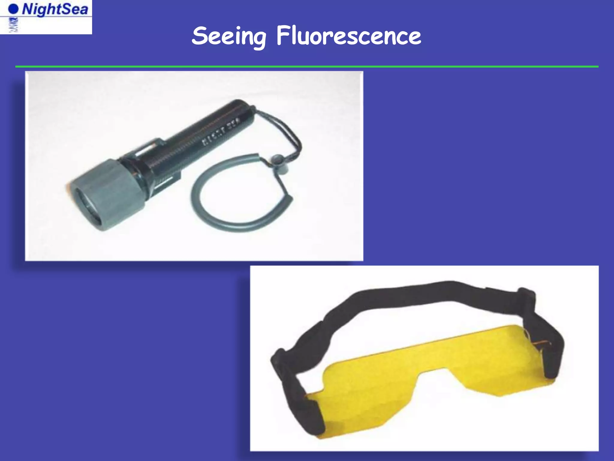 Modified night sea fluorescence_diving | PPTX