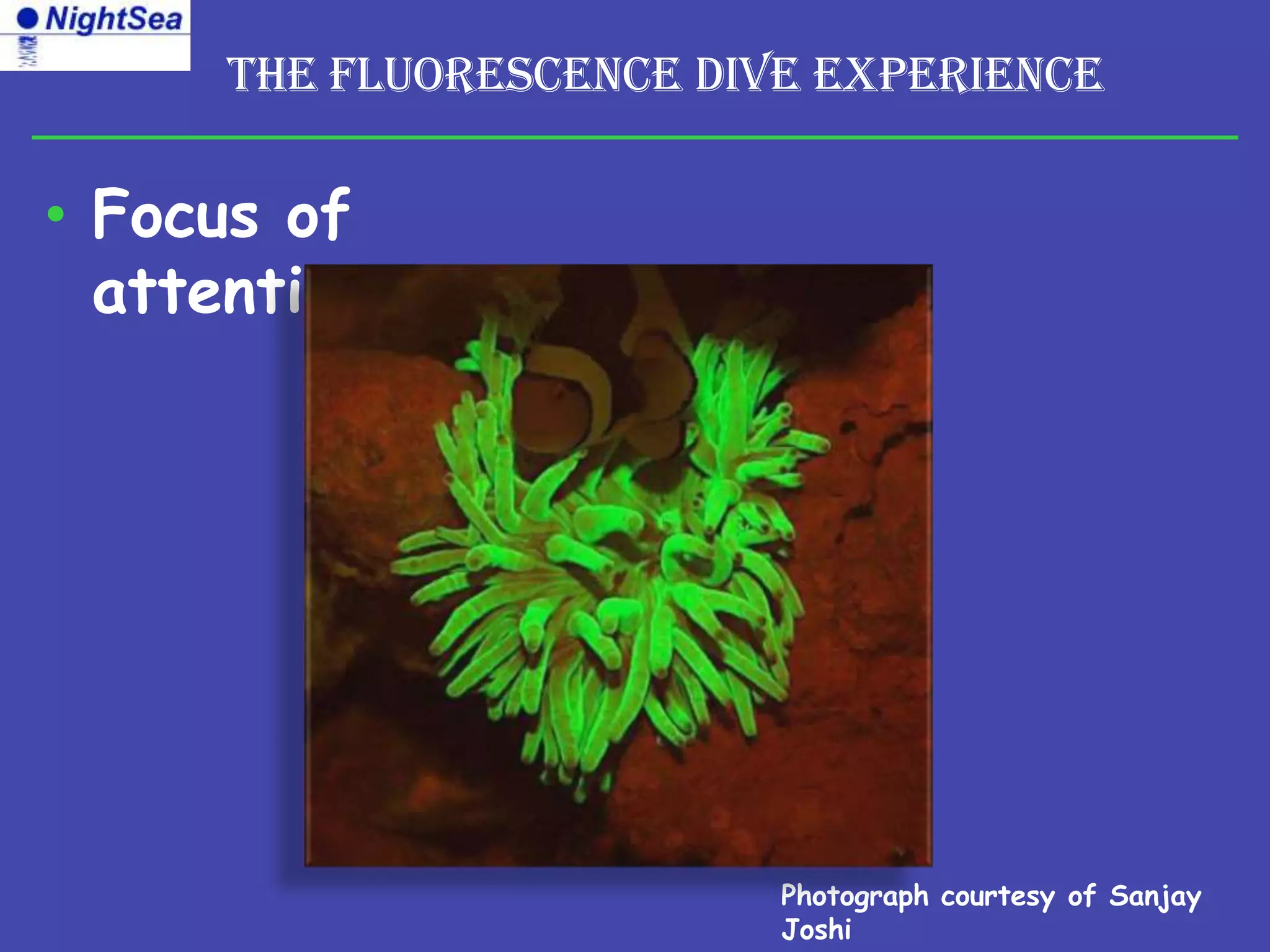 Modified night sea fluorescence_diving | PPTX