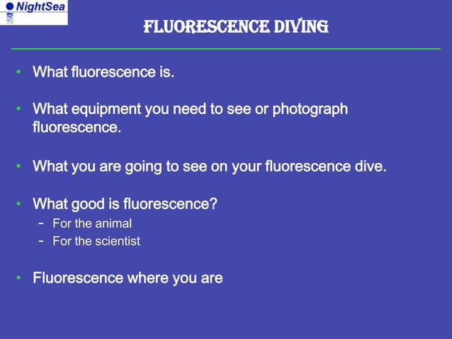 Modified night sea fluorescence_diving | PPTX