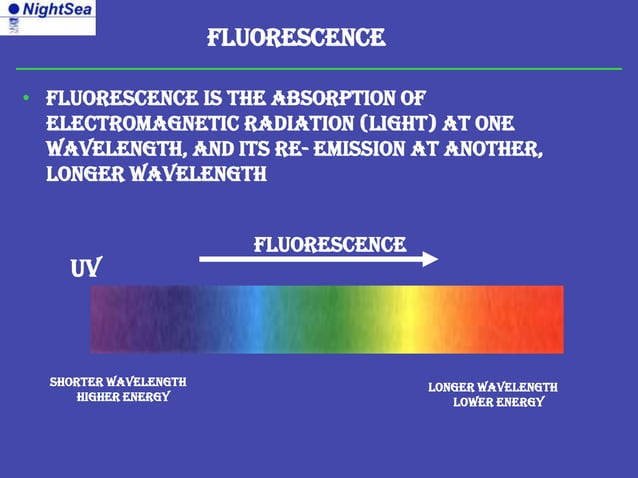 Modified night sea fluorescence_diving | PPTX