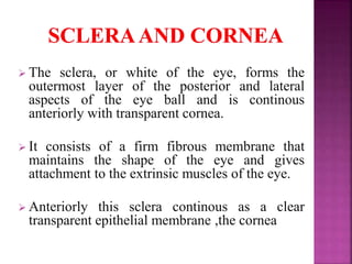 instillation and irrigation of eye,ear.nose