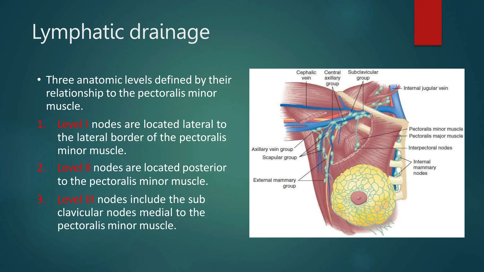 MODIFIED RADICAL MASTECTOMY-OPERATIVE PROCEDURE.pptx