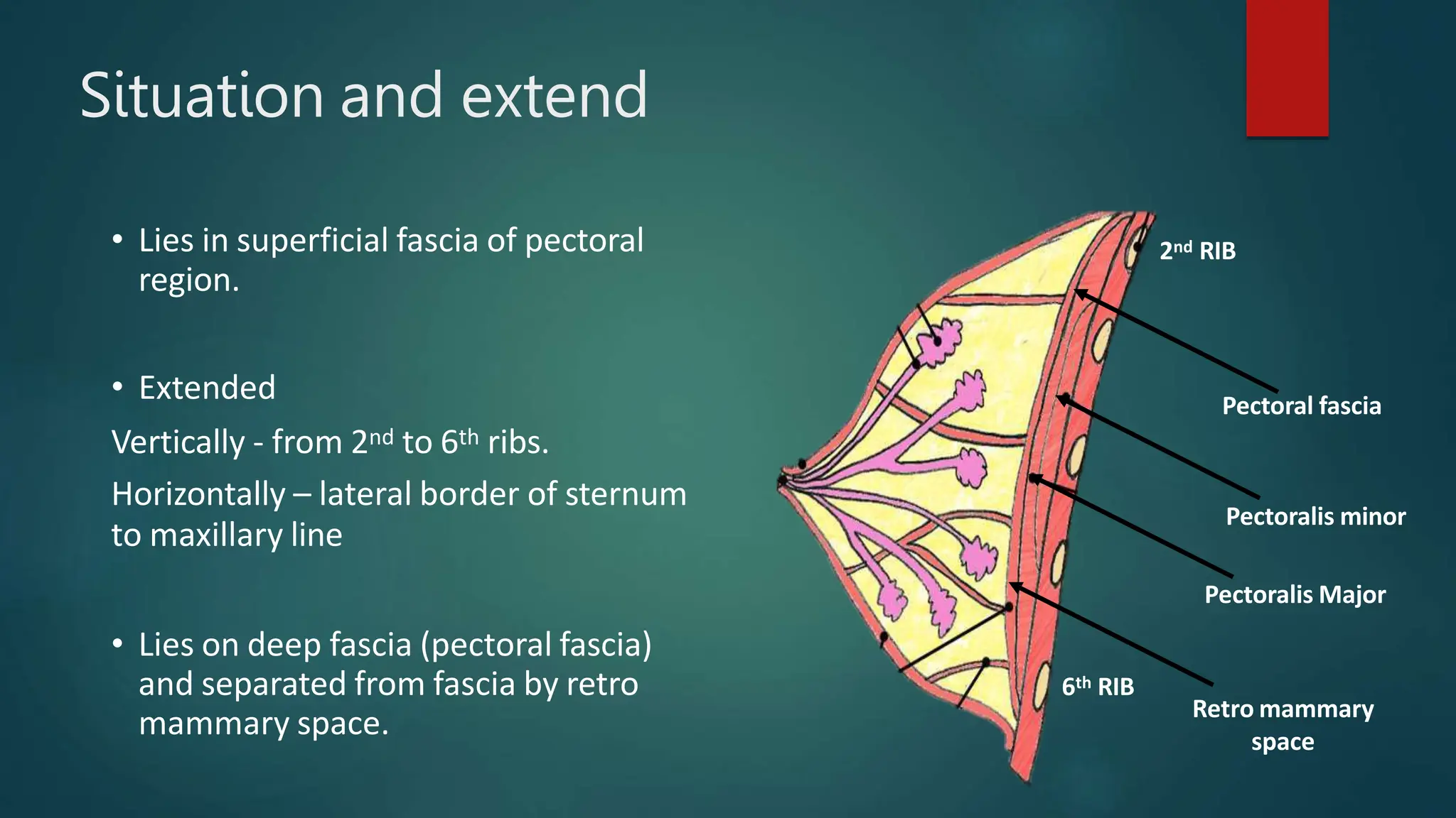 MODIFIED RADICAL MASTECTOMY-OPERATIVE PROCEDURE.pptx
