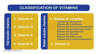 modified VITAMINS the multivitamins PPT.pptx