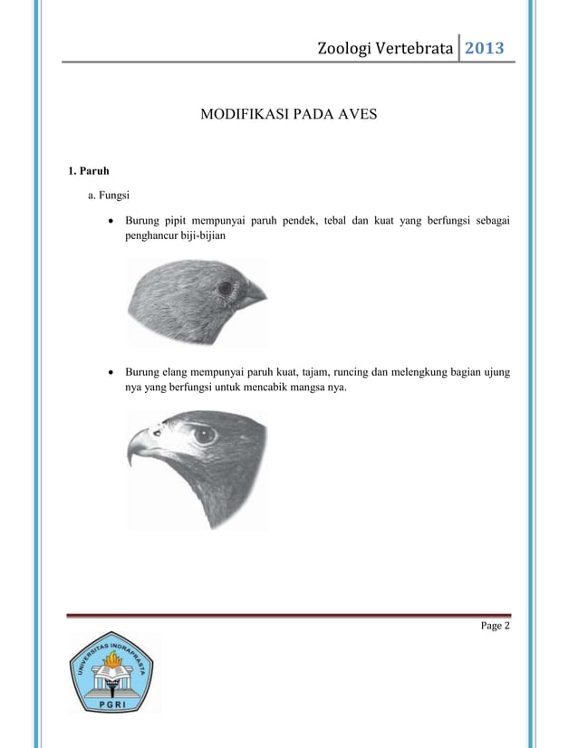 Modifikasi aves | PDF
