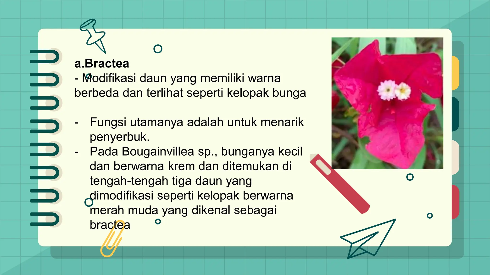 Modifikasi Daun pada tumbuhan darat .pptx