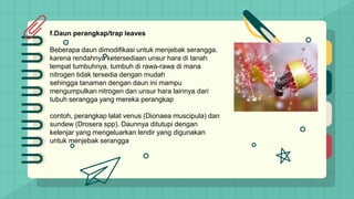 Modifikasi Daun pada tumbuhan darat .pptx