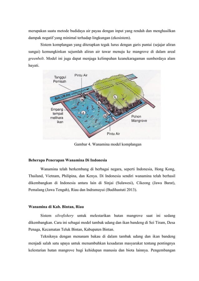 Modifikasi iklim mikro dengan wanamina | PDF