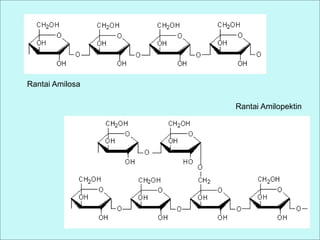 Modifikasi Pati fisikawi, kimiawi dan enzimatis.pptx