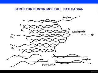 Modifikasi Pati fisikawi, kimiawi dan enzimatis.pptx