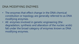 Modifying enzymes .pptx