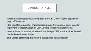 Modifying enzymes .pptx