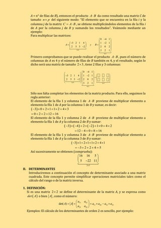 Mod matrices y determinantes | PDF