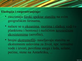 Modrozelene alge | PPT