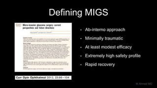 SPOTLIGHT ON MIGS | PPTX